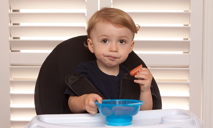 Baby-led Weaning